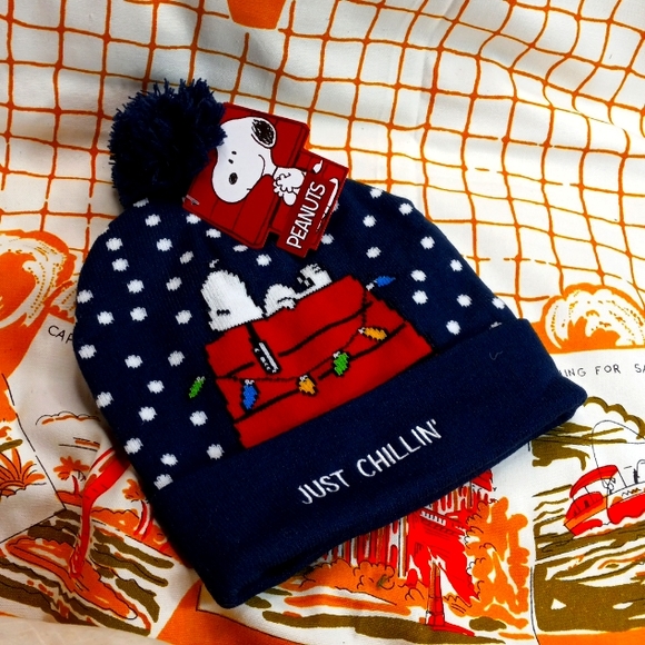 Peanuts | Accessories | Peanuts Snoopy Chillin Knit Hat | Poshmark